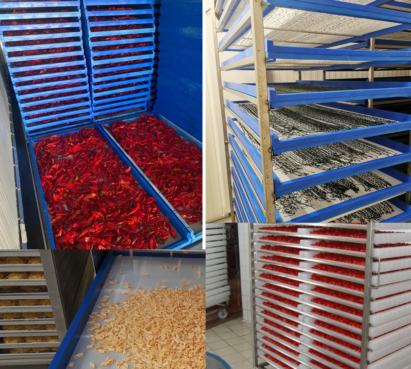 Pasta drying... and more | IFT