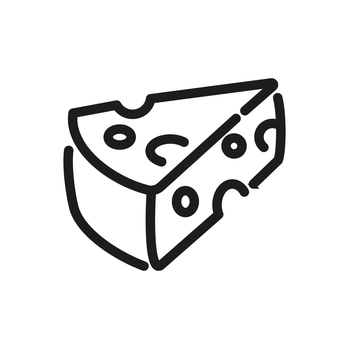 Attrezzatura per caseificio | Attrezzature plastiche per caseifici | IFT