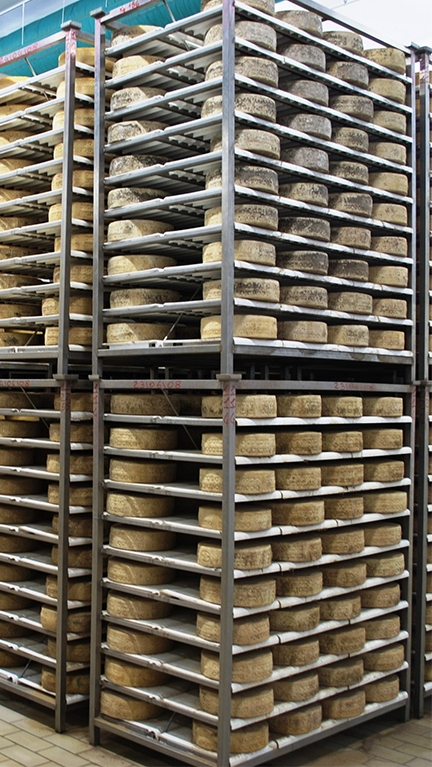 Shelves, racks and trolleys: the right solution for every dairies | IFT